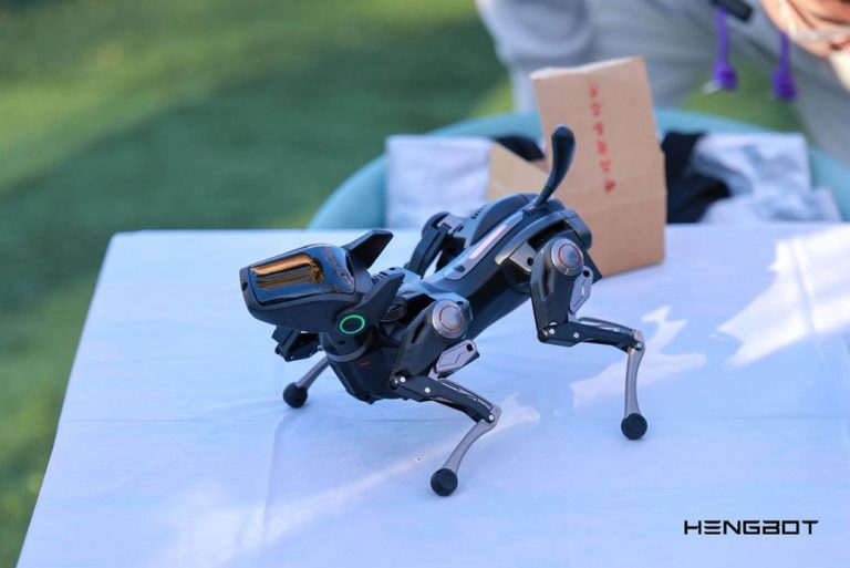 Sirius, the Next‑Gen Companion Robot Dog - Halo Dogs